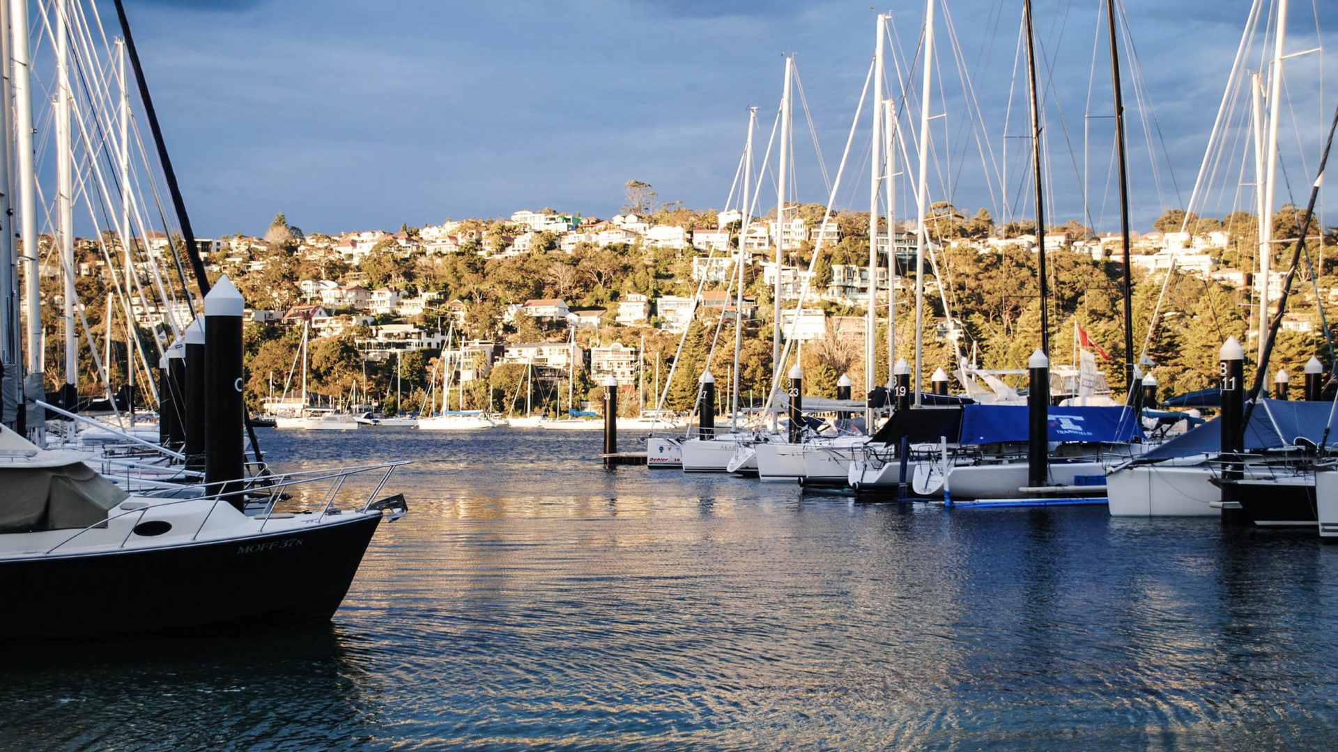 Charters • Flying Fish Sailing