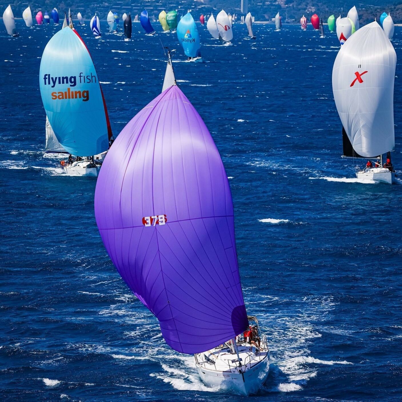 Flying Fish Sailing | Yacht Racing in Sydney Harbour and the East Coast ...
